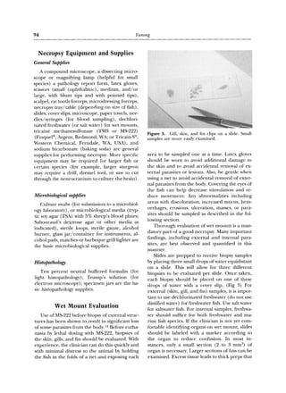 Necropsy techniques for fish roy p.e. yanong | PDF