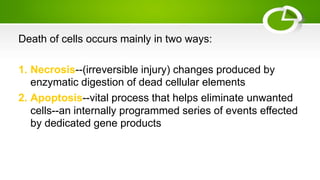 NECROSIS AND APOPTOSIS POWERPOINT PRESENTATION | PPTX