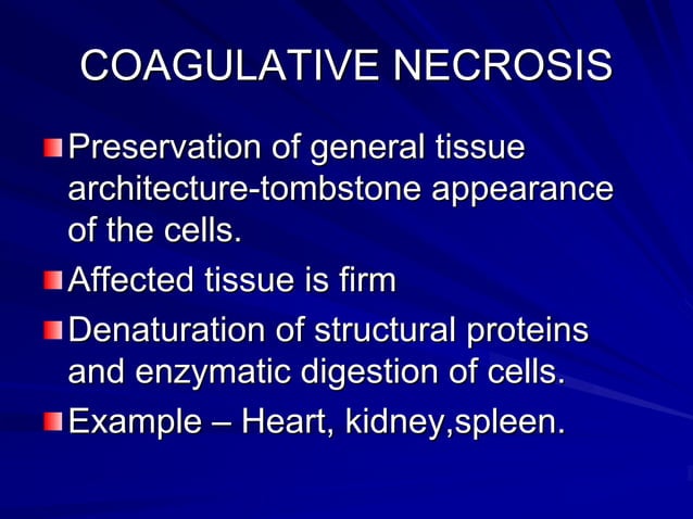 Necrosis | PDF | Diseases and Conditions | Medical Health