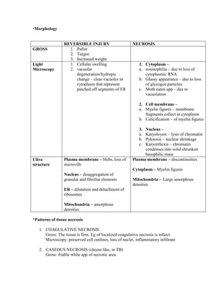 Necrosis | PDF