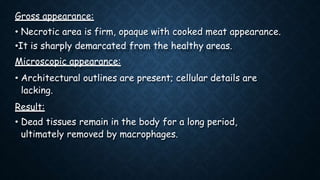 necrosis-160906190127.pptx