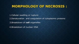 necrosis-160906190127.pptx