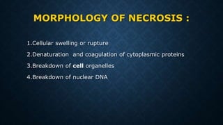 Necrosis | PPTX