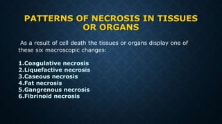 Necrosis | PPTX