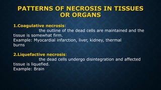 Necrosis | PPTX