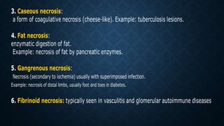 Caseous Necrosis Gross