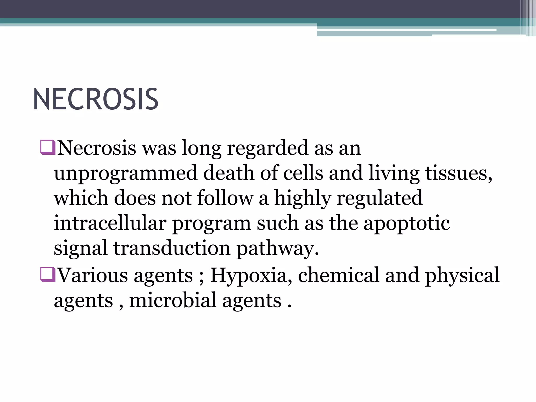 Necrosis | PPT