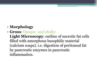 Necrosis | PPTX | Blood Disorders | Diseases and Conditions
