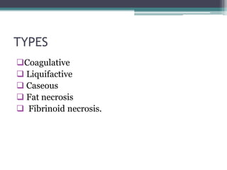 Necrosis | PPTX | Blood Disorders | Diseases and Conditions