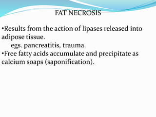 Necrosis | PPT