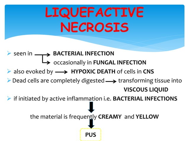 Necrosis and types | PPTX | Blood Disorders | Diseases and Conditions