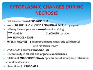 Necrosis and types | PPTX