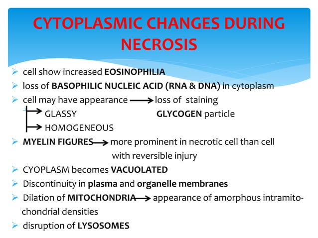 Necrosis and types | PPTX | Blood Disorders | Diseases and Conditions