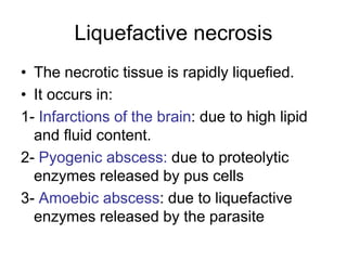 Necrosis | PPTX