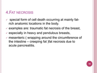 Necrosis | PPTX