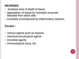 Necrosis | PPTX