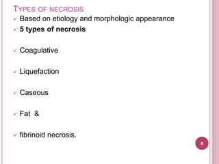 Necrosis | PPTX