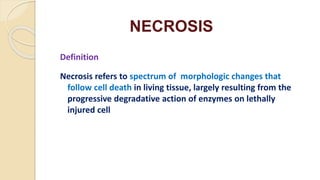 necrosis.pptx