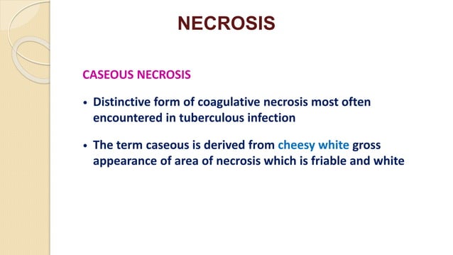 necrosis.pptx