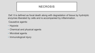 necrosis.pptx
