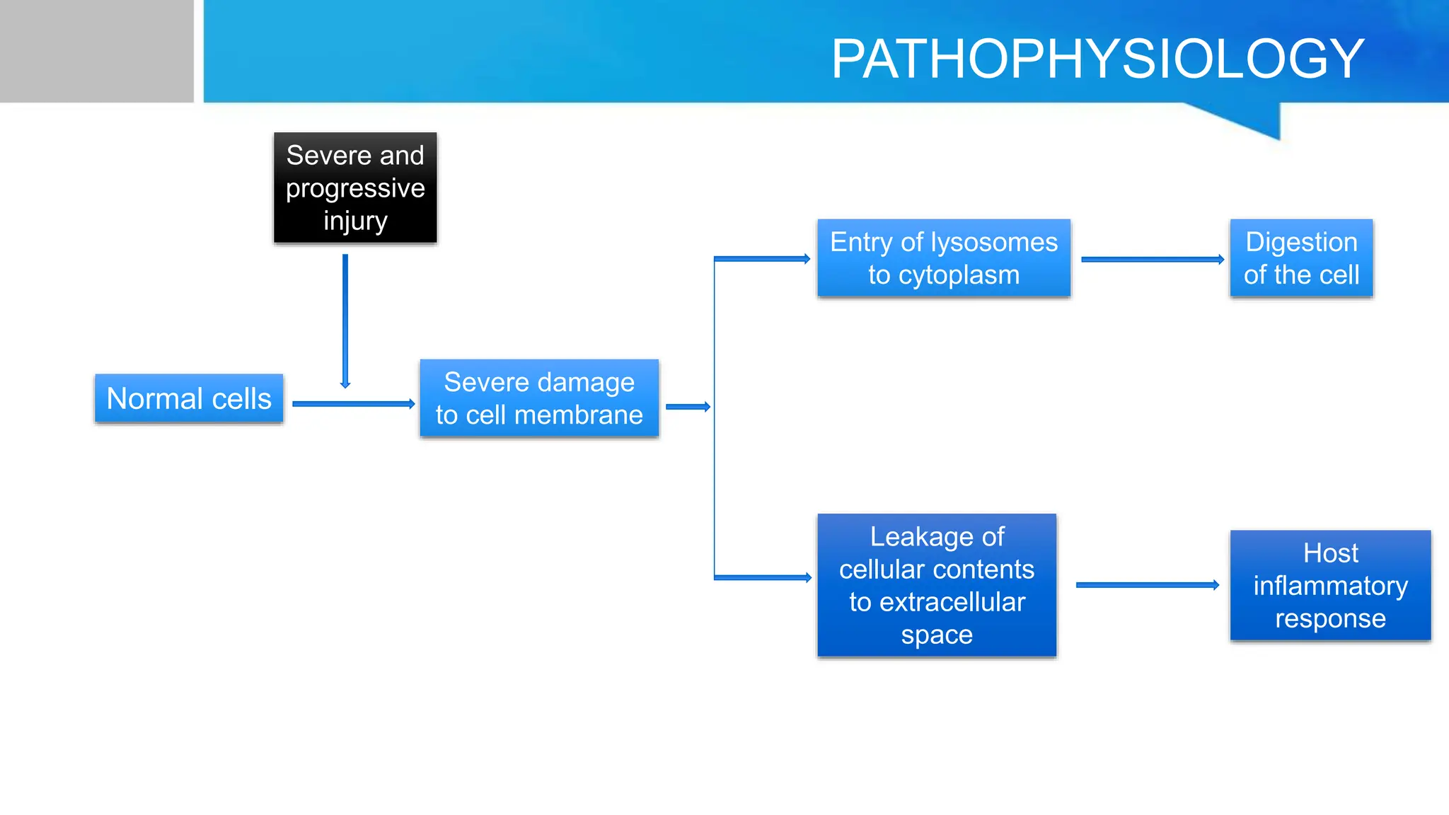 NECROSIS FOR MBBS FIRST YEAR STUDENTS MADE EASY.pptx