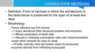 NECROSIS FOR MBBS FIRST YEAR STUDENTS MADE EASY.pptx