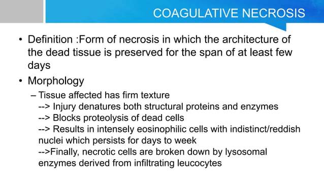 NECROSIS FOR MBBS FIRST YEAR STUDENTS MADE EASY.pptx | Blood Disorders ...