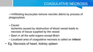 NECROSIS FOR MBBS FIRST YEAR STUDENTS MADE EASY.pptx