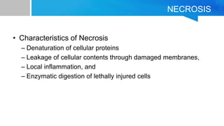 NECROSIS FOR MBBS FIRST YEAR STUDENTS MADE EASY.pptx | Blood Disorders ...