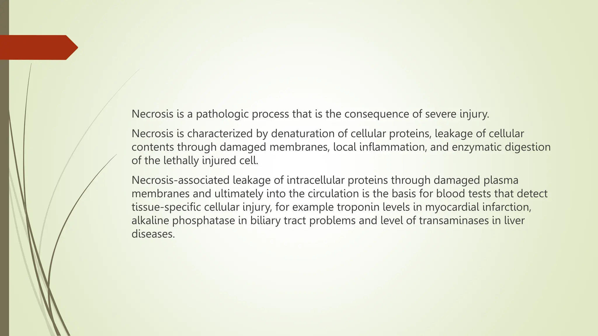 Necrosis.pathology lecture slideshare.pptx