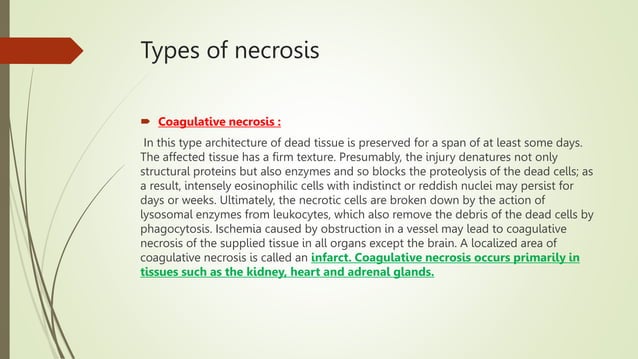 Necrosis.pathology lecture slideshare.pptx