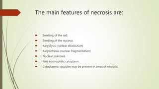 Necrosis.pathology lecture slideshare.pptx