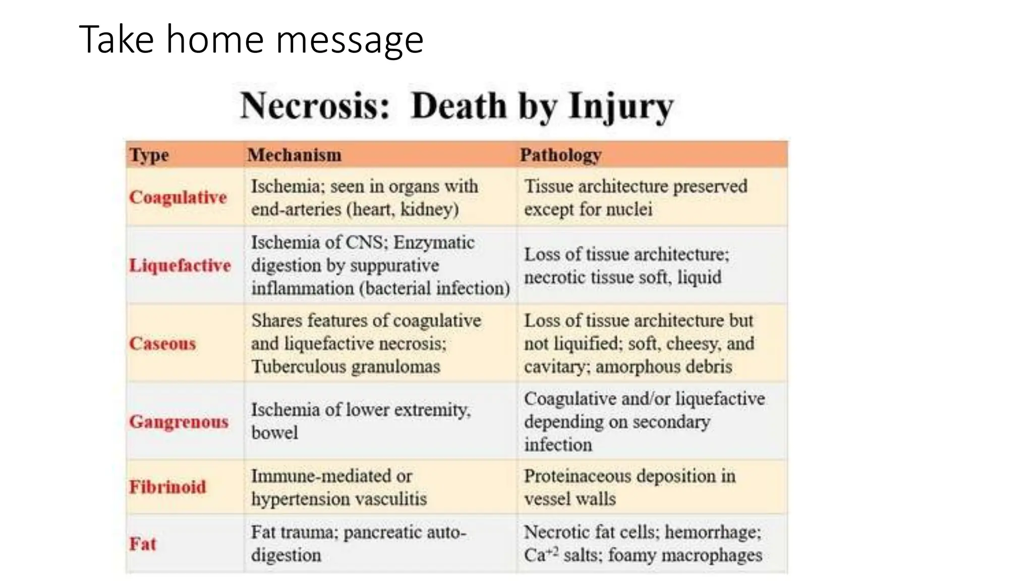 Necrosis.pptx definition, types, examples | PPTX
