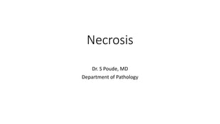 Necrosis.pptx definition, types, examples | PPTX