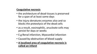 Necrosis.pptx definition, types, examples | PPTX | Blood Disorders ...