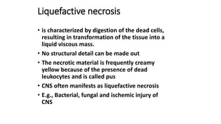 Necrosis.pptx definition, types, examples | PPTX | Blood Disorders ...