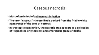 Necrosis.pptx definition, types, examples | PPTX | Blood Disorders ...
