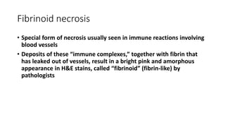 Necrosis.pptx definition, types, examples | PPTX | Blood Disorders ...