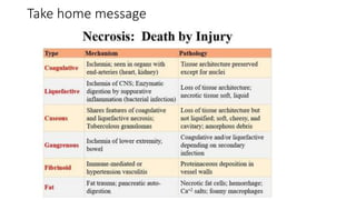 Necrosis.pptx definition, types, examples | PPTX | Blood Disorders ...