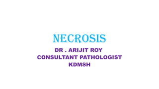 MORPHOLOGY OF CELL INJURY - NECROSIS.pptx