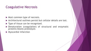 Necrosis (1) | PPTX