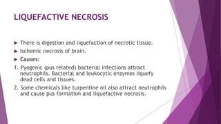 Necrosis (1) | PPTX