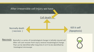 Necrosis and apoptosis | PPTX