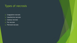 Necrosis and apoptosis | PPTX
