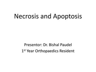 Necrosis and apoptosis | PPTX