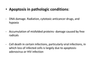 Necrosis and apoptosis | PPTX