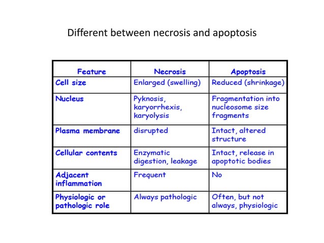 Necrosis and apoptosis | PPTX