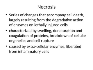 necrosis and apoptosis about cell death.pptx