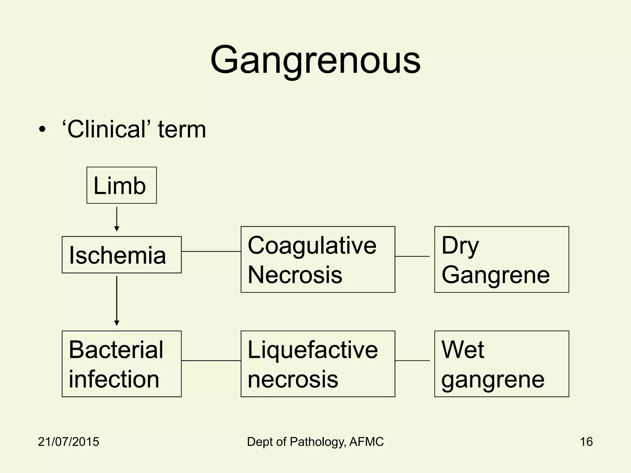 Necrosis and gangrene | PPT