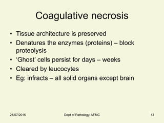 Necrosis and gangrene | PPT